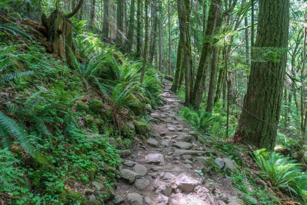 Poo Poo Point Trail: How to Hike the High School and Chirico Trails