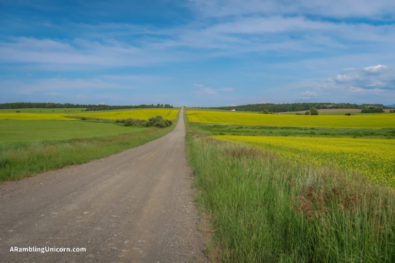 Ashton-Flagg Ranch Road: A Long and Bumpy Road to Grand Tetons - A ...