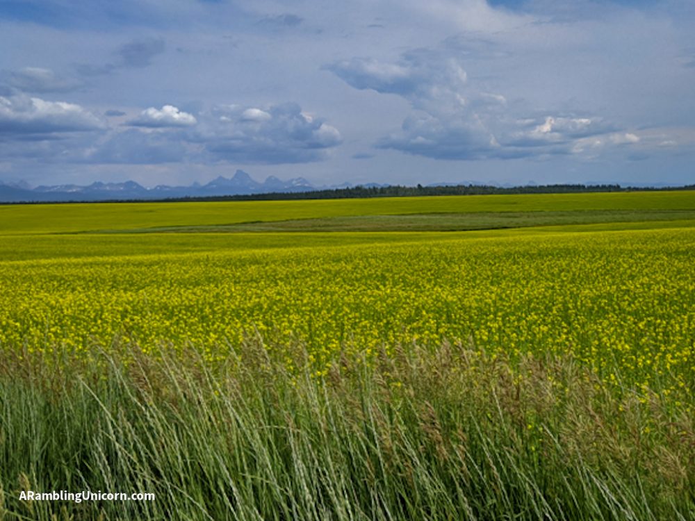 Ashton-Flagg Ranch Road: A Long and Bumpy Road to Grand Tetons - A ...