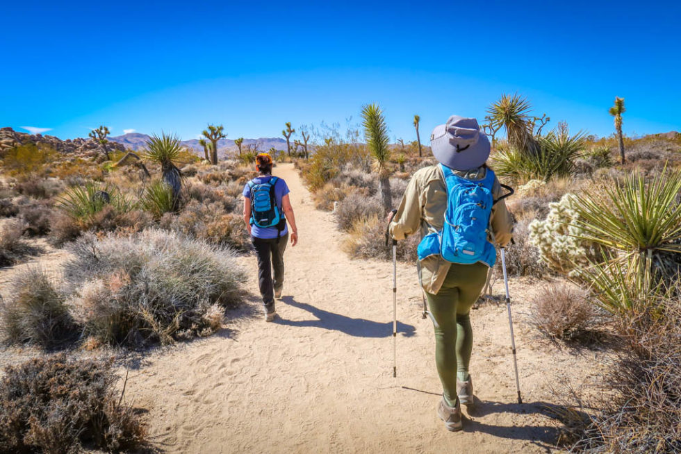 15 Best Hikes in Joshua Tree - Plus Maps and Expert Tips (for 2022!)