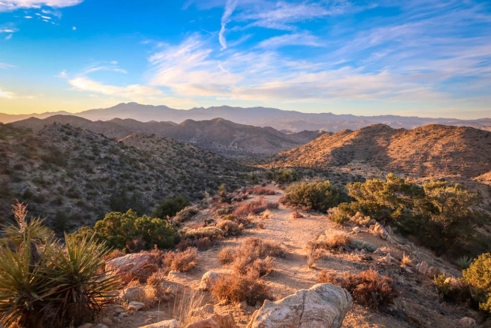 15 Best Hikes in Joshua Tree - Plus Maps and Expert Tips (for 2022!)