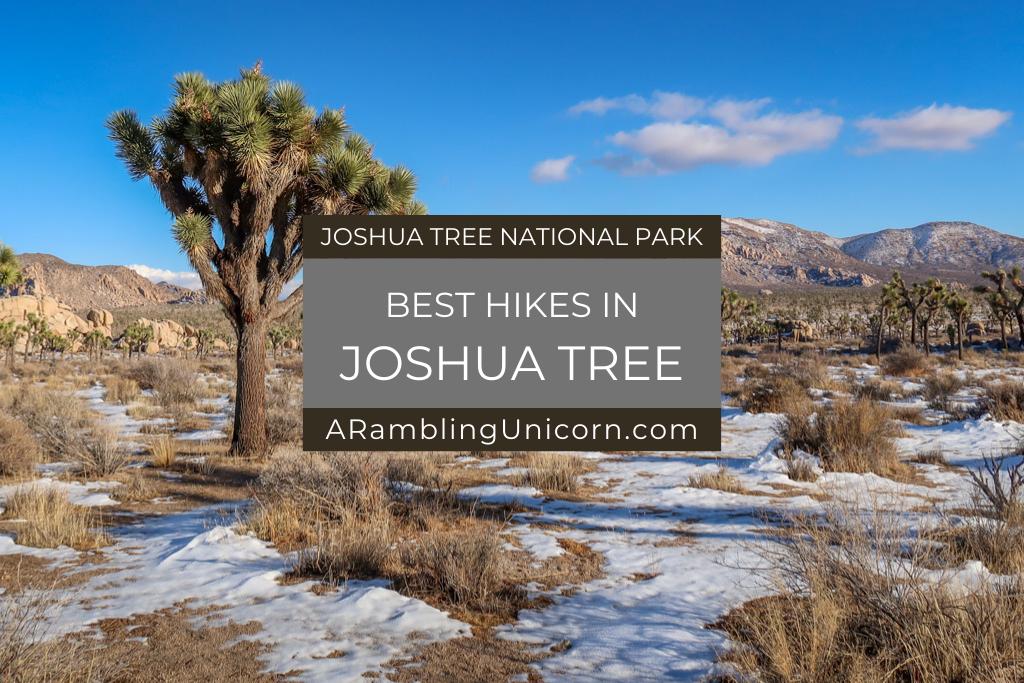 Best Hikes in Joshua Tree: The Ultimate Hiking Guide | A Rambling Unicorn