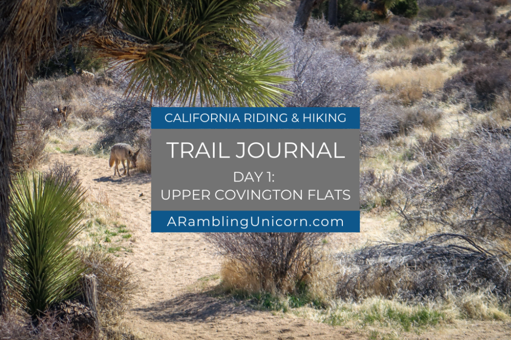 Upper Covington Flats: Day 1 on the California Riding and Hiking Trail ...