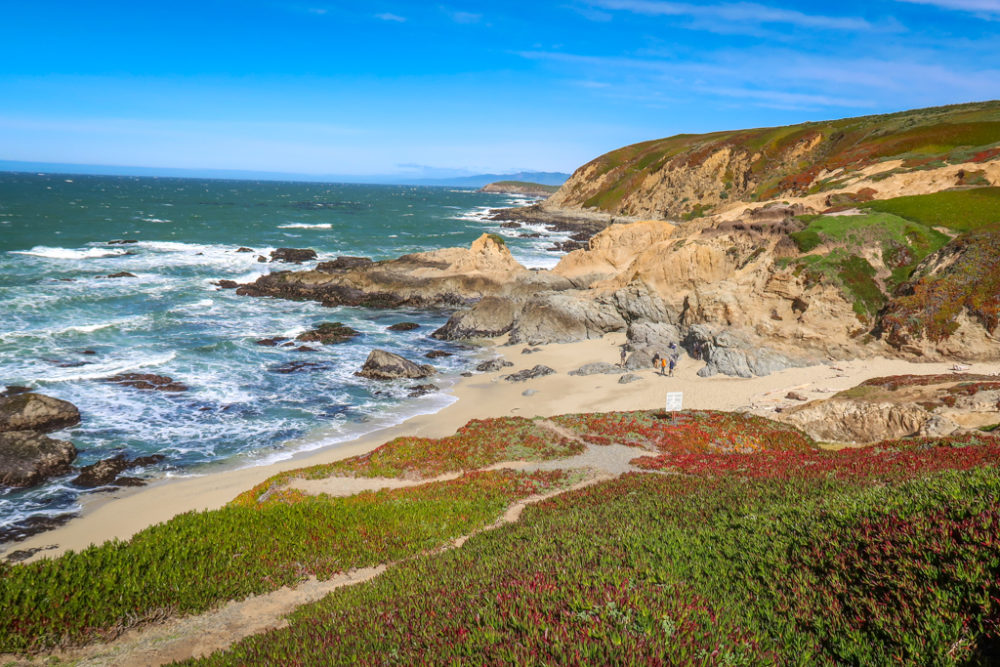 Northern California Coast Road Trip: Driving the Pacific Coast Highway ...