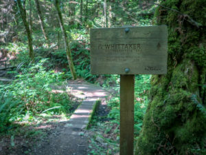 The Best Hikes in Issaquah: Exploring the Issaquah Alps - A Rambling ...