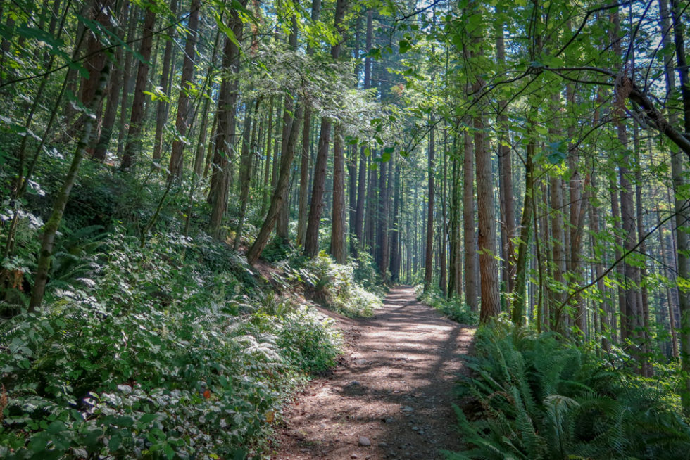 The Best Hikes in Issaquah: Exploring the Issaquah Alps - A Rambling ...