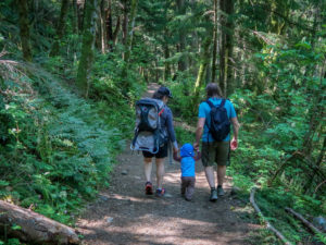 The Best Hikes in Issaquah: Exploring the Issaquah Alps - A Rambling ...