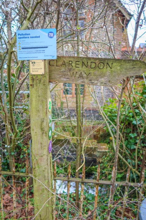 Winchester Walks: 10 Scenic Hikes and Walking Paths in Hampshire