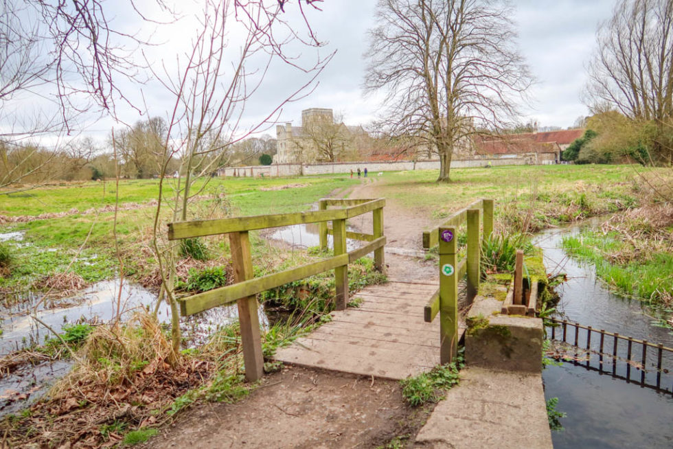 Winchester Walks: 10 Scenic Hikes and Walking Paths in Hampshire