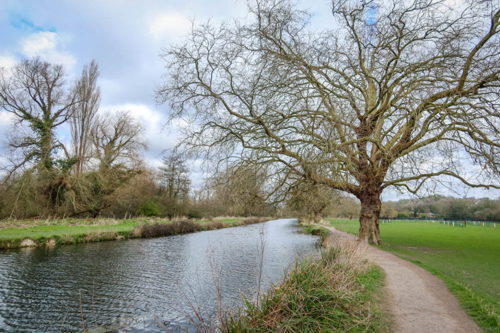 Winchester Walks: 10 Scenic Hikes and Walking Paths in Hampshire
